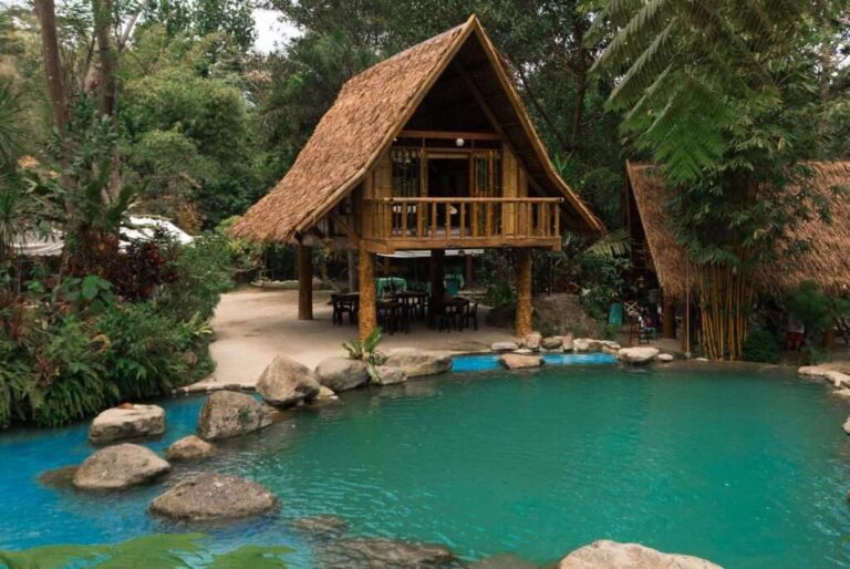 Forest Camp - Real Breeze Travel & Tours